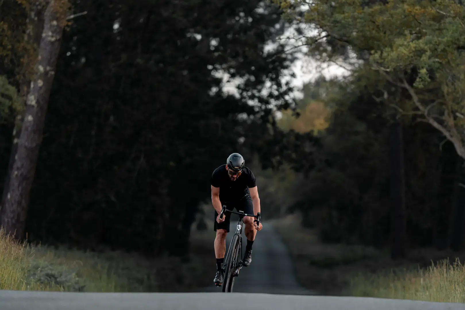 Free CSBikes Catalog Download | CSBikes